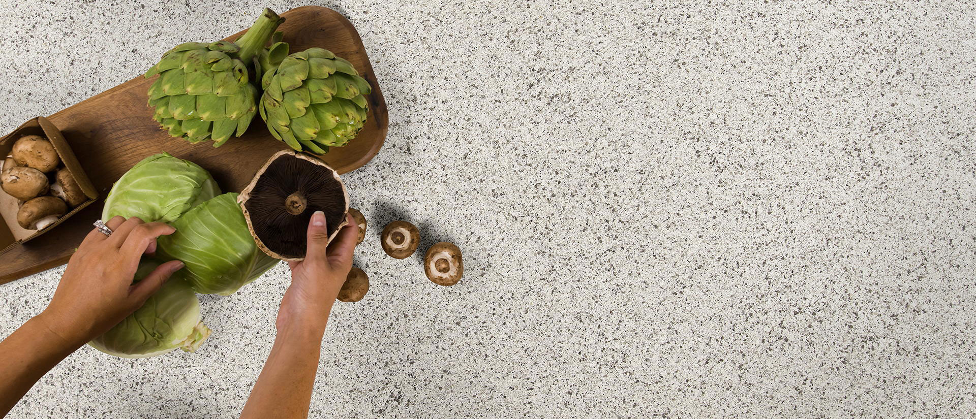 MSI Stone - Peppercorn White Quartz